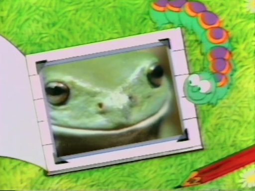 Caterpillar Trail | TVARK