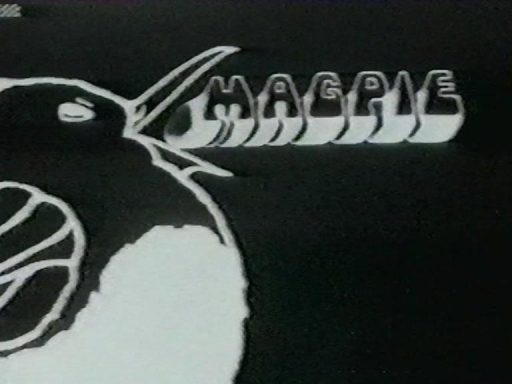Magpie | TVARK