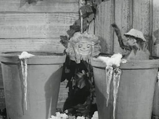 Flower Pot Men | TVARK