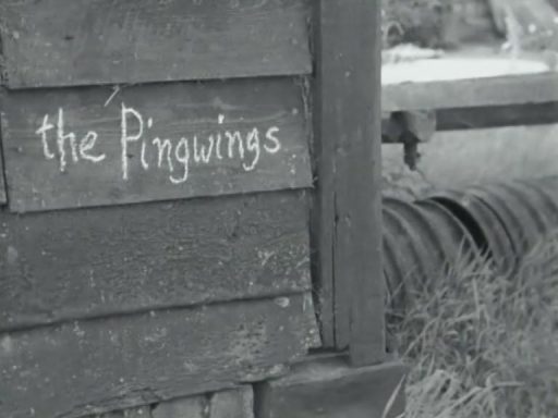 The Pingwings | TVARK