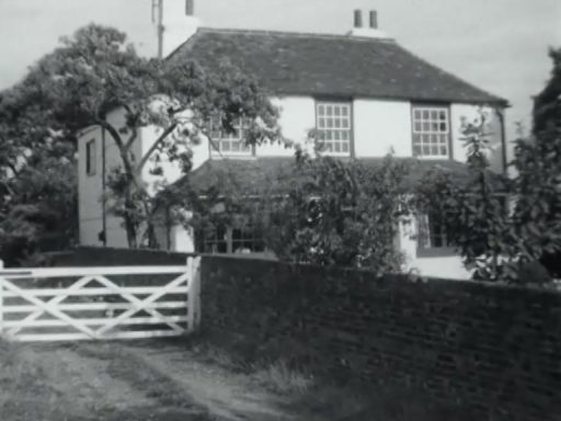 The Pingwings | TVARK