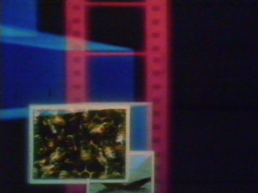 Wildlife Showcase | TVARK