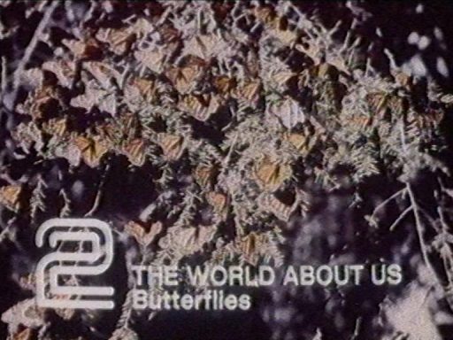 The World About Us | TVARK