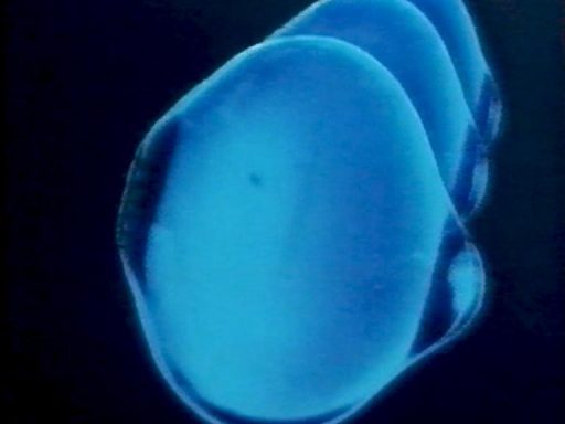 TSW Ident (film) | TVARK