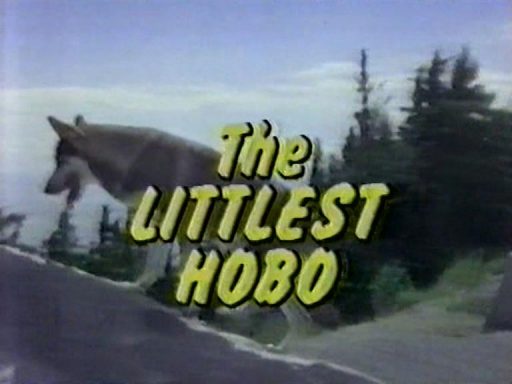 The Littlest Hobo | TVARK