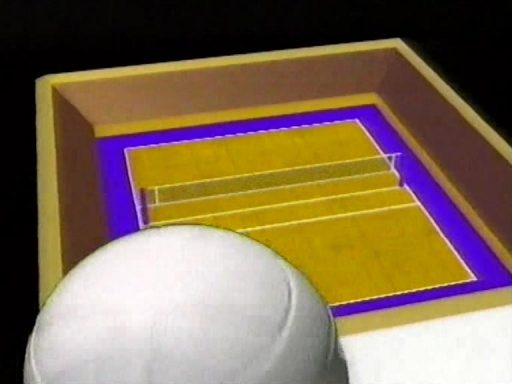 International Volleyball | TVARK