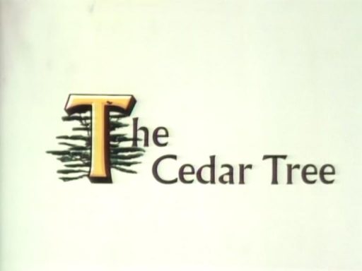 The Cedar Tree | TVARK