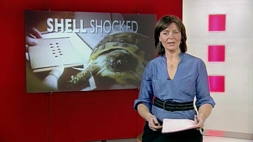BBC Look North 2008 – 2010 | TVARK