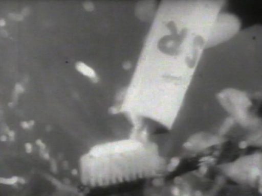 Gibbs SR Toothpaste | TVARK