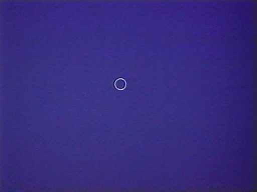 Southern Ident | TVARK