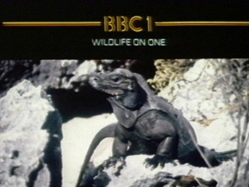BBC1 1981 – 1985 Branding | TVARK
