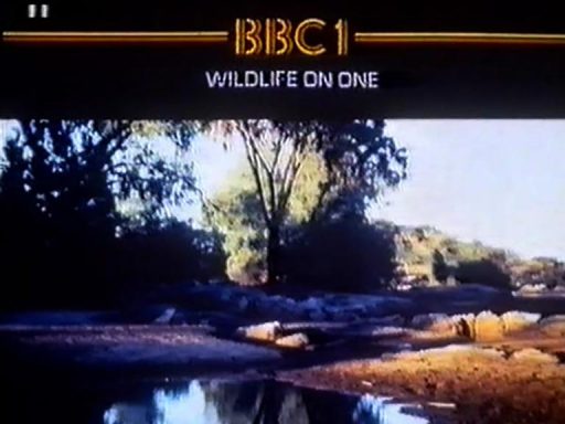 BBC1 1981 – 1985 Branding | TVARK