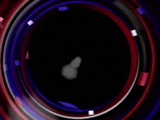 LWT Christmas Start-Up | TVARK