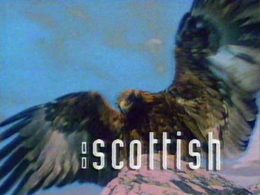 On Scottish promo | TVARK