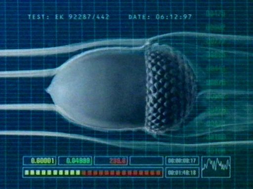 BBC Learning Zone | TVARK