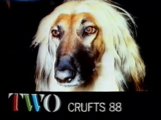 BBC Two 1986 – 1991 Branding | TVARK