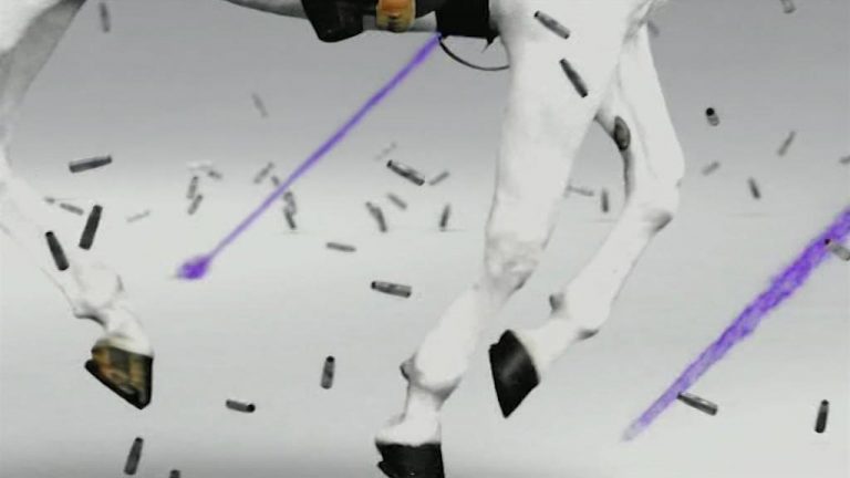 5 Spike Ident | TVARK