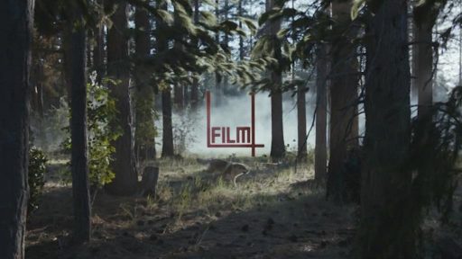 Film 4 Ident | TVARK