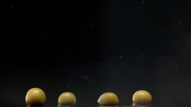 Pick Ident – Popcorn | TVARK