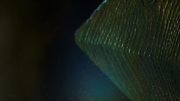 Yesterday Ident – Forest | TVARK