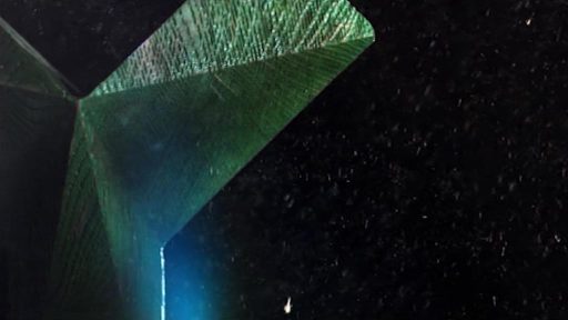 Yesterday Ident – Forest | TVARK