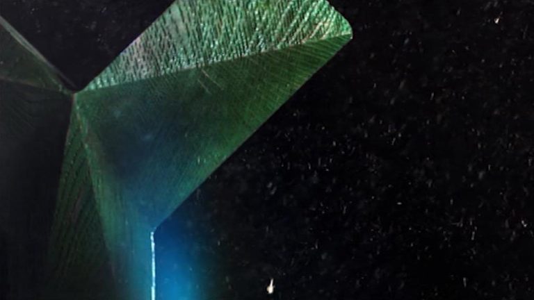 Yesterday Ident – Forest | TVARK