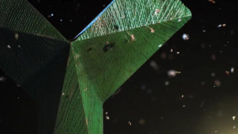 Yesterday Ident – Forest | TVARK