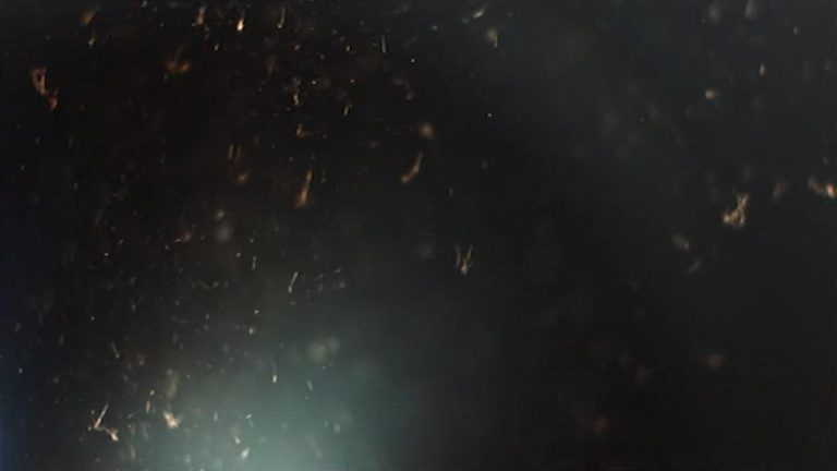 Yesterday Ident – Forest | TVARK