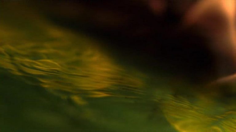 Yesterday Ident – Flame | TVARK