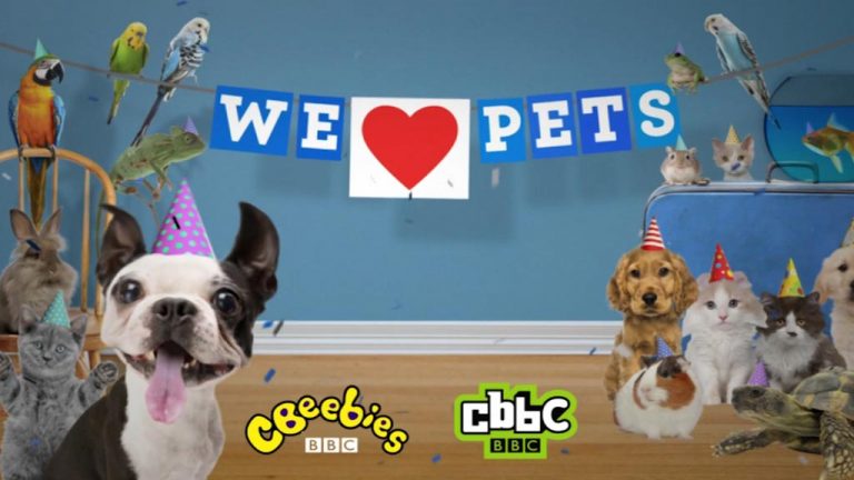 CBBC In-Vision Continuity | TVARK