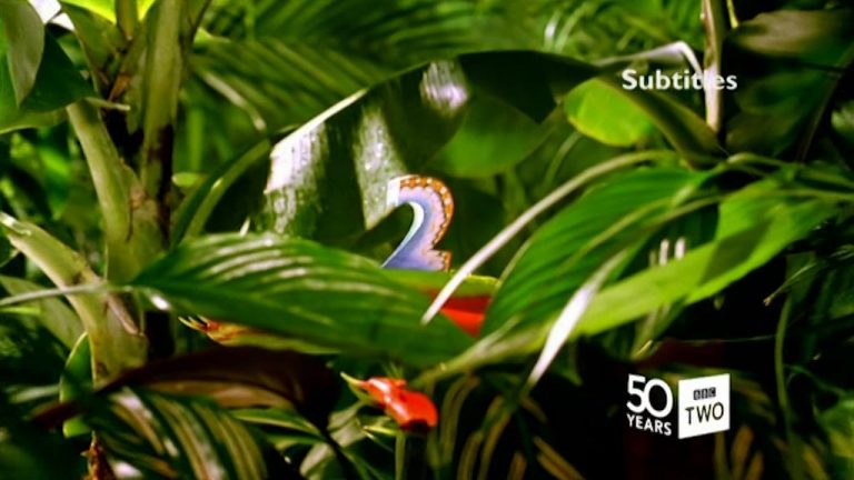 BBC Two 50 Years Ident | TVARK