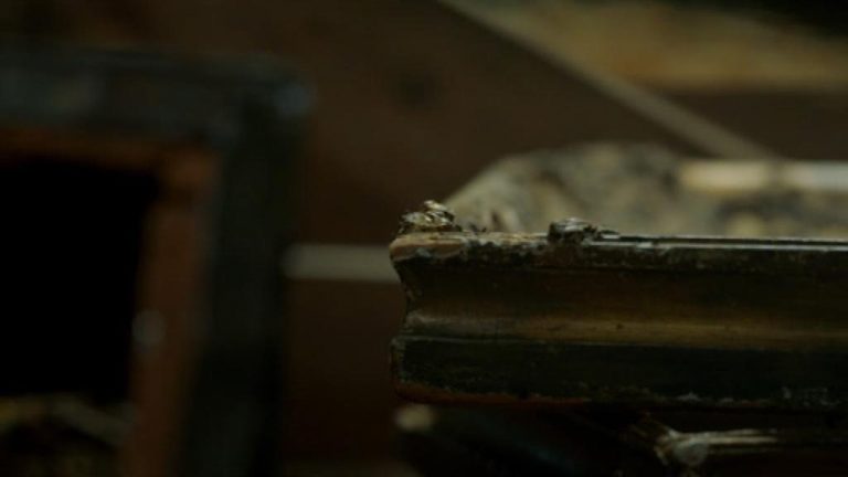 Yesterday Ident | TVARK