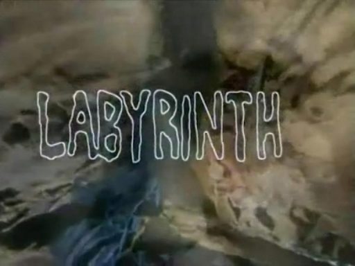 Into the Labyrinth | TVARK