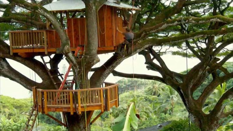 The Treehouse Guys | TVARK