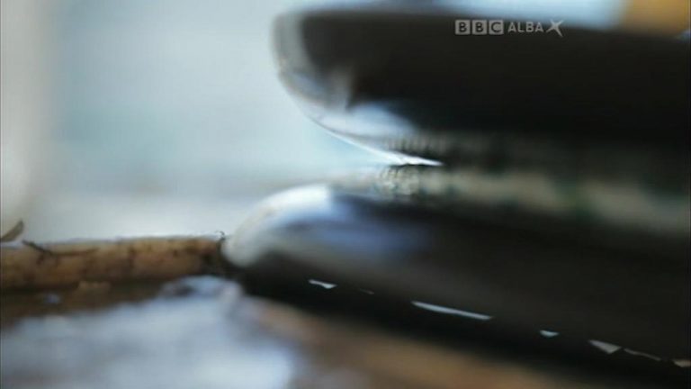 BBC Alba Ident | TVARK