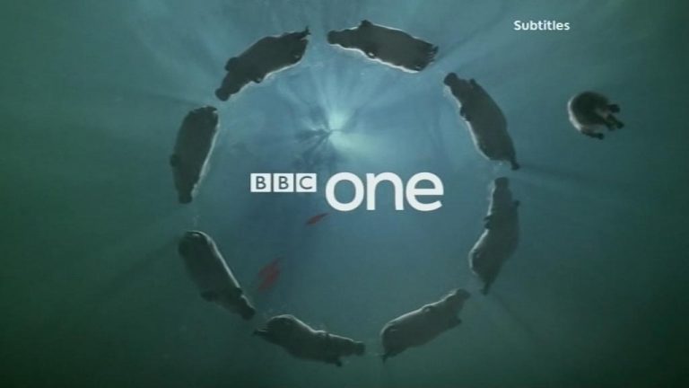 BBC One Ident – Hippos | TVARK