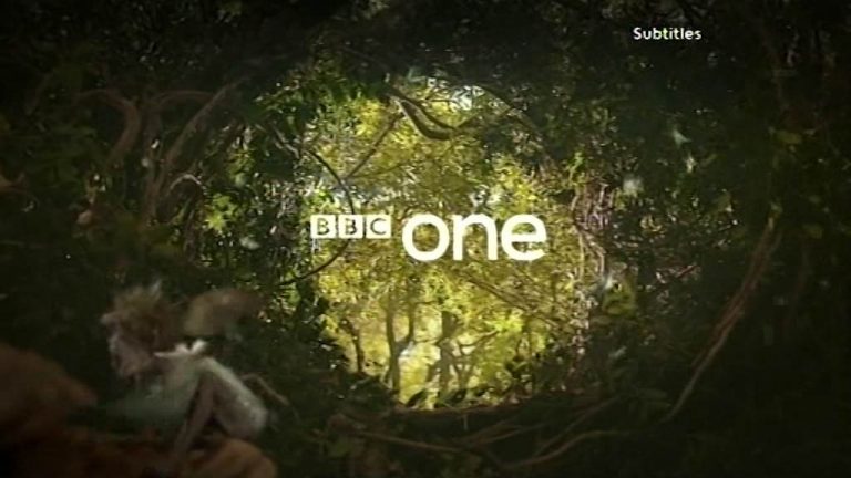 BBC One Ident – Magical Forest | TVARK