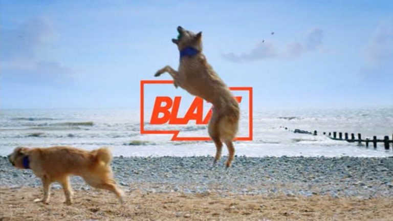 Blaze Ident – Dogs | TVARK