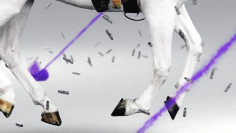 Spike Ident – Horse | TVARK