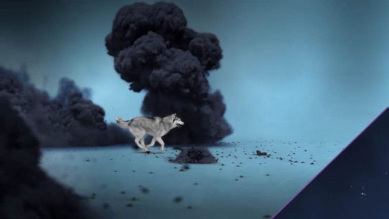 Spike Ident – wolf | TVARK