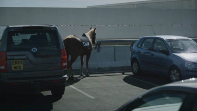 Dave Ident – Horse V1 | TVARK