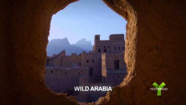 Yesterday Channel promo | TVARK