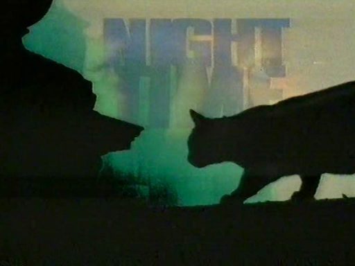 Night Time Ident | TVARK