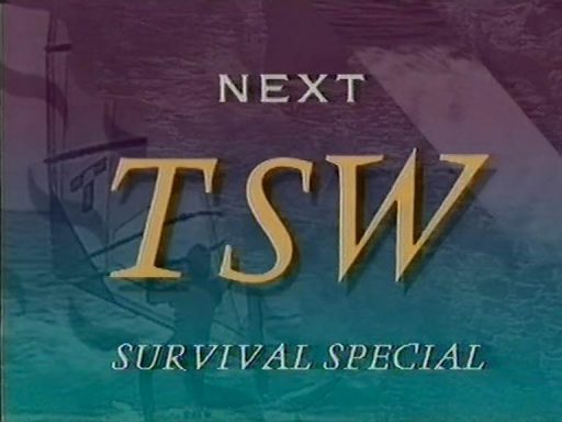 TSW 1985 – 1992 Branding | TVARK