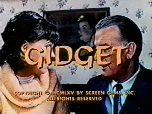 Gidget | TVARK