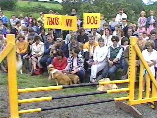 That’s My Dog | TVARK