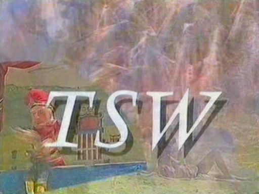 TSW – Summer Ident | TVARK