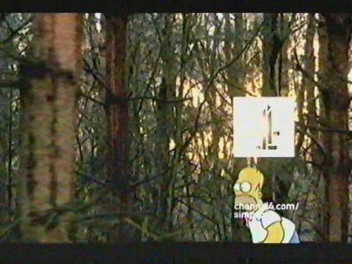 C4 The Simpsons Night Ident | TVARK