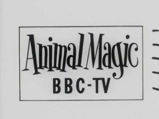 Animal Magic | TVARK
