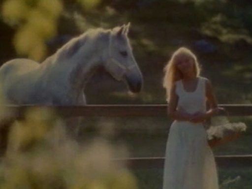 Timotei Shampoo | TVARK